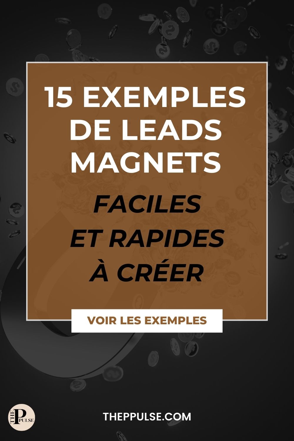 15 Exemples de Lead Magnets : Faciles et Rapides à Créer